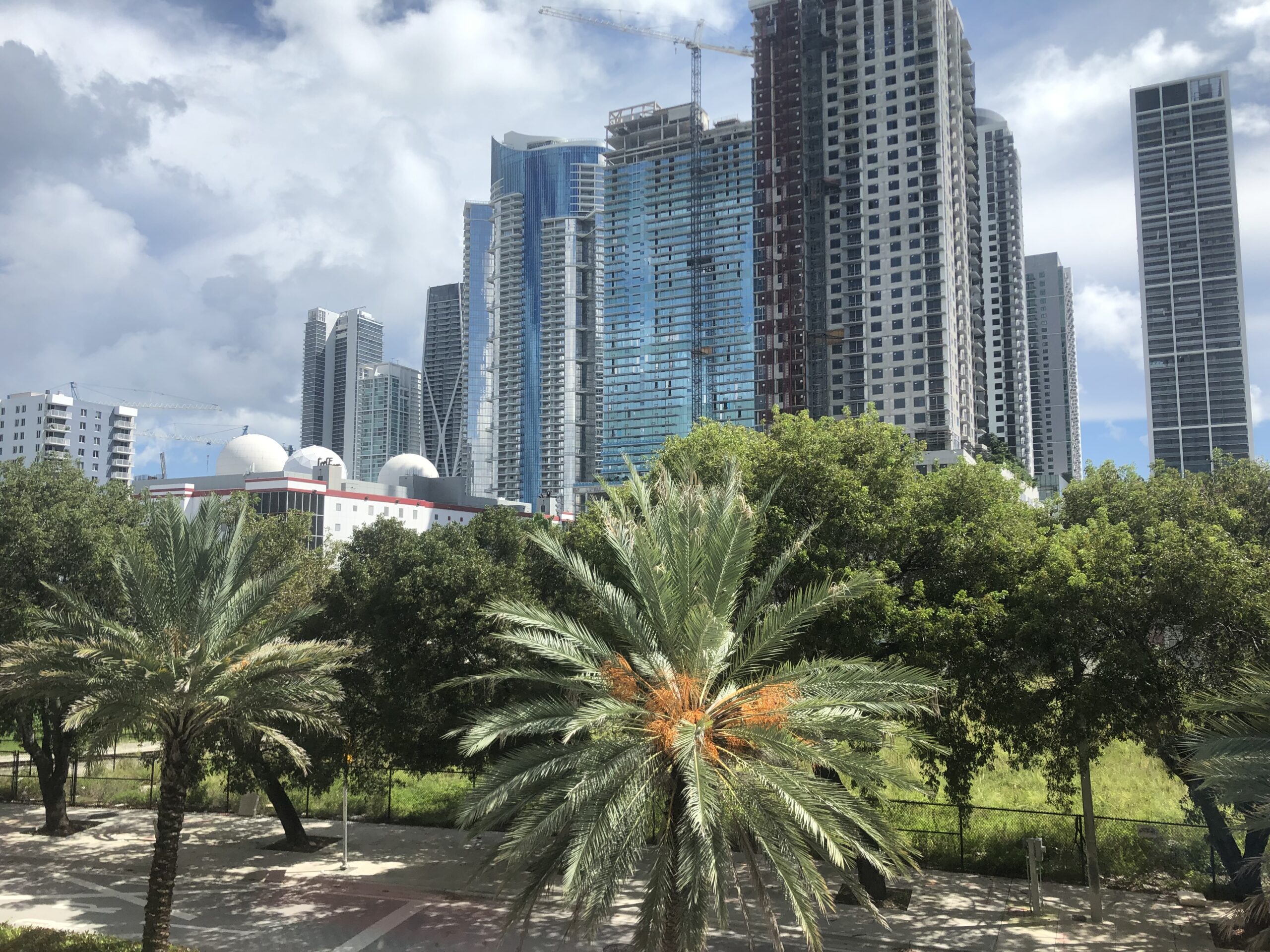 Miami Beach vs Miami | Joyfully Miami